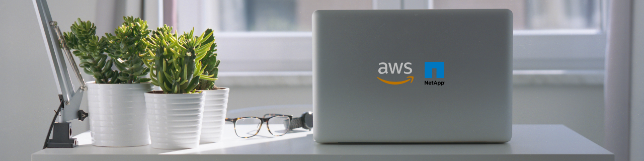 FSx for NetApp ONTAP Manageability Options | tecRacer Amazon AWS Blog